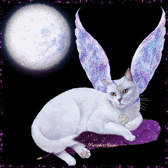 Download Angel Glitter Animal Cat Gif