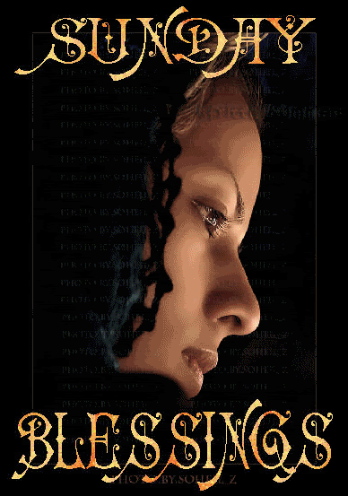 Statement Gif - Gif Abyss