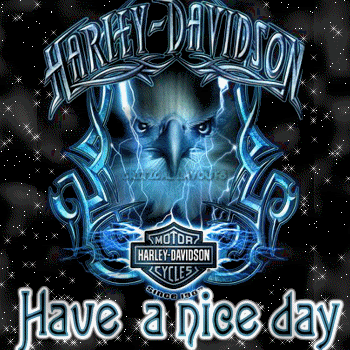 Download Glitter Motorcycle Nice Day Vehicle Harley-Davidson Gif