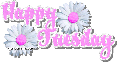 Download Glitter Tuesday Misc Statement Gif