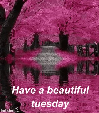 Download Glitter Tuesday Misc Statement Gif