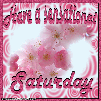 Download Glitter Saturday Misc Statement Gif - Gif Abyss