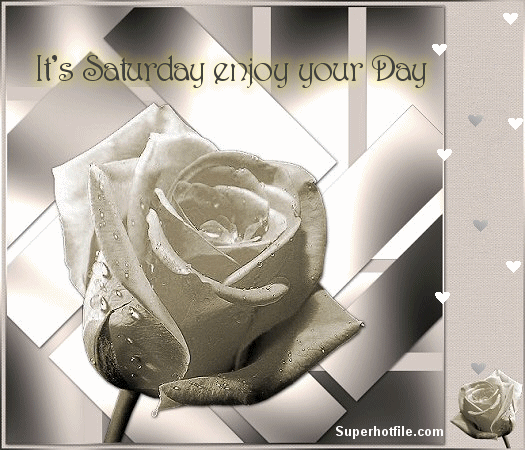 Statement Gif - Gif Abyss