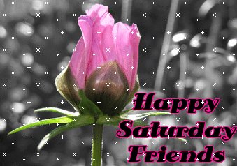 Download Glitter Saturday Misc Statement Gif
