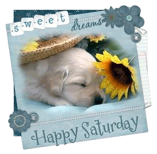 Download Glitter Saturday Misc Statement Gif