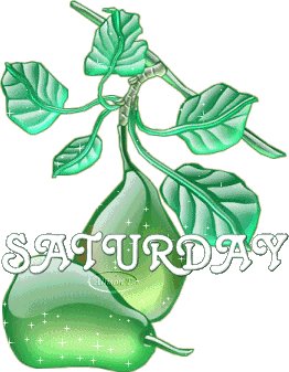 Download Glitter Saturday Misc Statement Gif