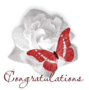 Download Glitter Congratulations Misc Statement Gif
