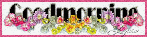 Statement Gif - Gif Abyss