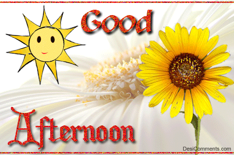Download Glitter Good Afternoon Misc Statement Gif - Gif Abyss
