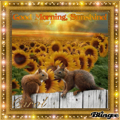 Animated Blingee Good Morning Sunshine 20+ Good Morning Sunshine! Have