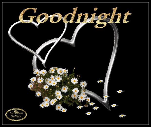 Night Flowers Gif