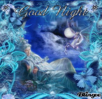 Download Glitter Good Night Misc Statement Gif