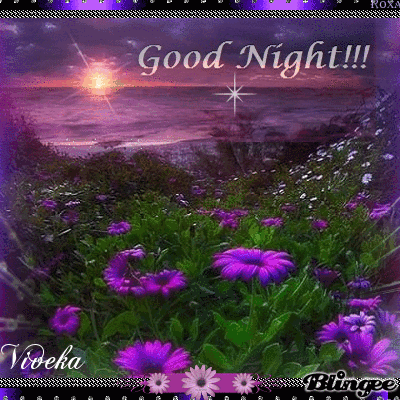 Blingee Glitter Graphics Good Night