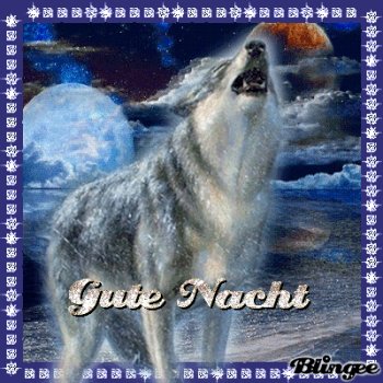 Download Wolf Glitter Good Night Misc Statement Gif
