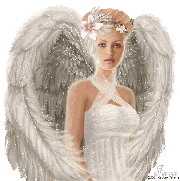 Download Glitter Fantasy Angel Gif - Gif Abyss