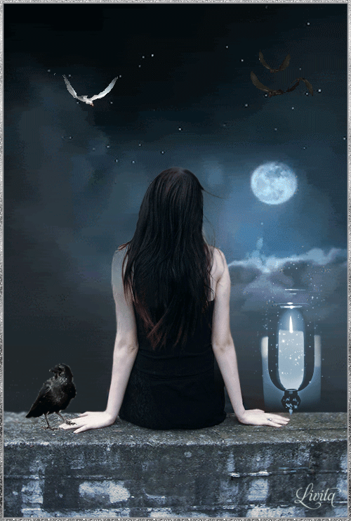 Women Gif - Gif Abyss
