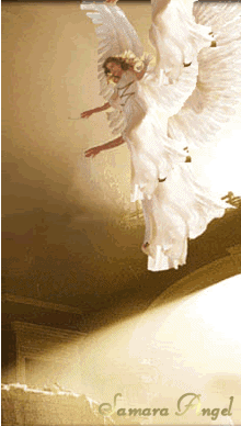 Download Fantasy Angel Gif