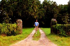 [10+] Forrest Gump Gifs