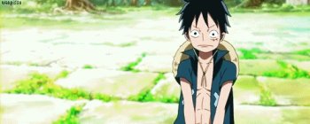 Luffy's Animated Adventure
