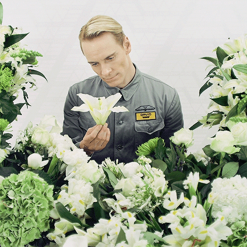 Download Futuristic Movie Prometheus Gif - Gif Abyss