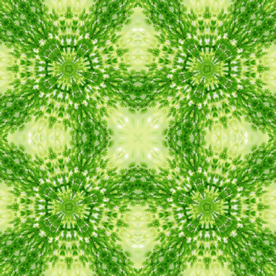 GREEN LEAVES - Gif Abyss