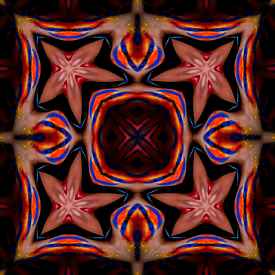 STAR FISH - Gif Abyss