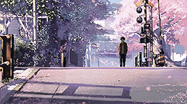 5 Centimeters Per Second Gif - Gif Abyss