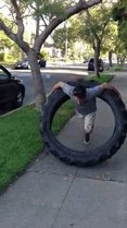 Download Misc Tire Gif