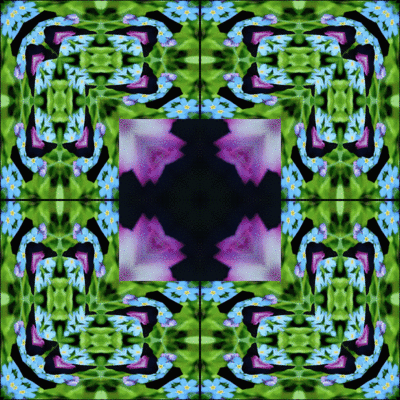 THE SQUARES - Gif Abyss