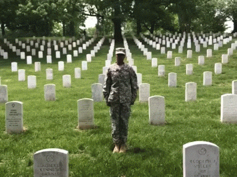 Memorial Day Gif - Gif Abyss