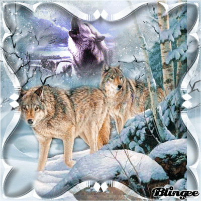 Download Fantasy Wolf Gif
