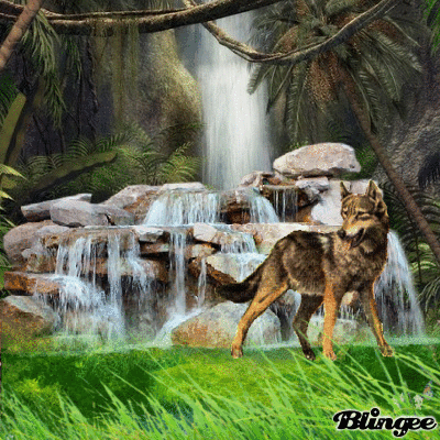 Download Fantasy Wolf Gif