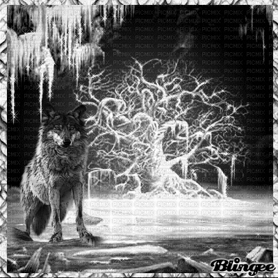 Download Fantasy Wolf Gif