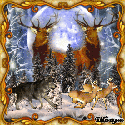 Fantasy Wolf Gif - Gif Abyss