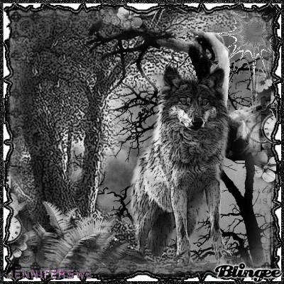 Download Fantasy Wolf Gif - Gif Abyss