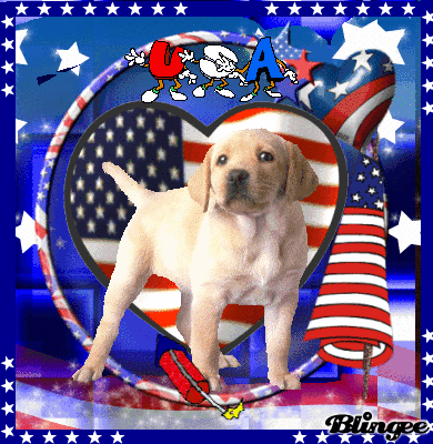 Download Holiday 4th Of July Gif