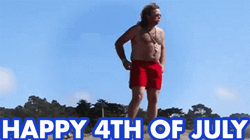 Download Holiday 4th Of July Gif