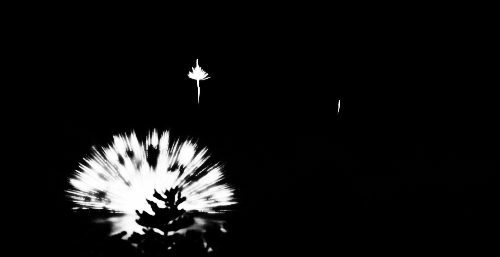 Download Photography Fireworks Gif