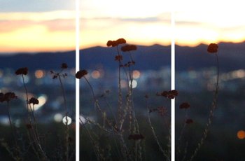 Bokeh Gifs: Free Download [20+]