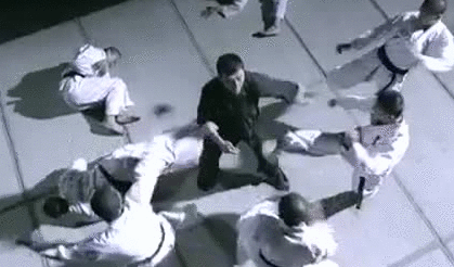 Download Martial Arts Sports Gif