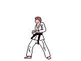 Martial Arts Gif - Gif Abyss