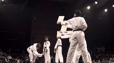 Martial Arts Gif - Gif Abyss