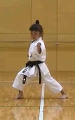 Download Martial Arts Sports Gif - Gif Abyss