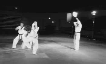 Download Martial Arts Sports Gif