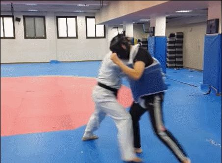 Tornado Kick Gif