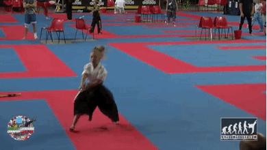 Download Martial Arts Sports Gif