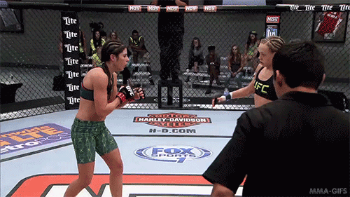 Download Martial Arts Sports Gif