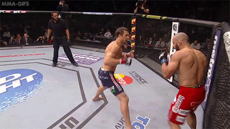 Download Martial Arts Sports Gif