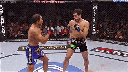 Download Martial Arts Sports Gif - Gif Abyss