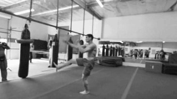 Download Martial Arts Sports Gif